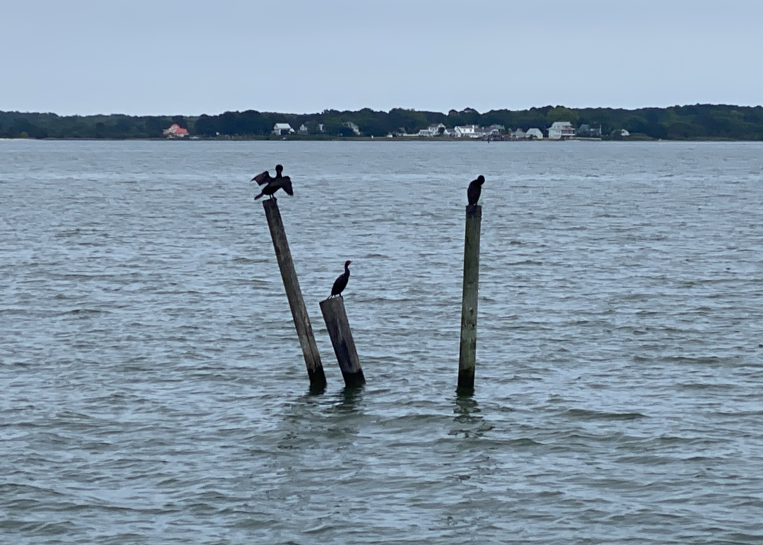 5/29/2025 Standing Into – Irish Hurricane